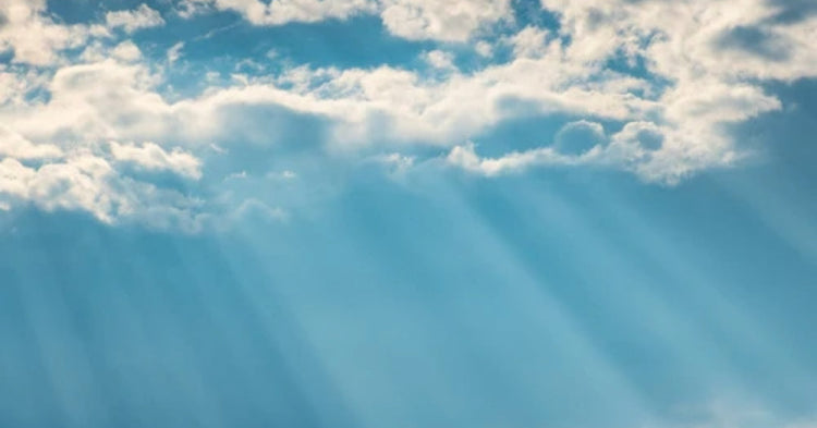 18 Spiritual Children's Books About Heaven – The Lollipop Book Club