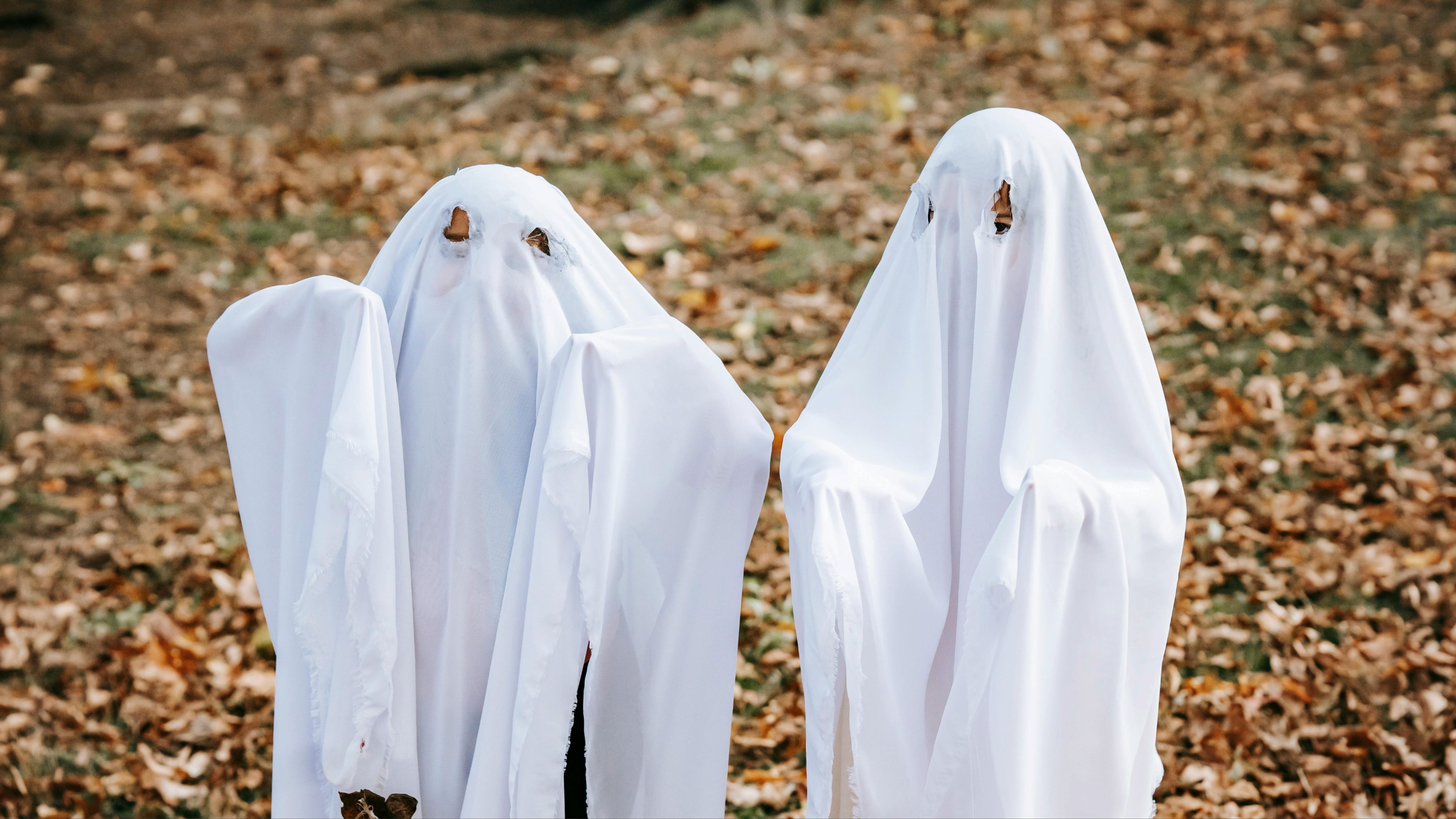 9 Ghost Stuffed Animals And Toys For Halloween – The Lollipop Book Club