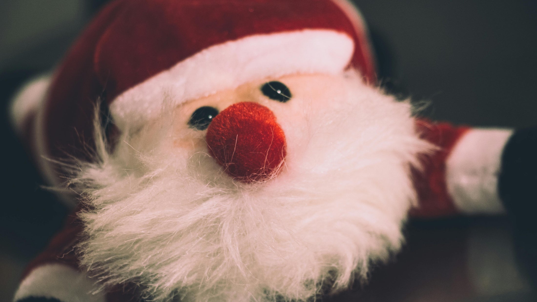 13 Plush Santa Stuffed Toys For Christmas – The Lollipop Book Club