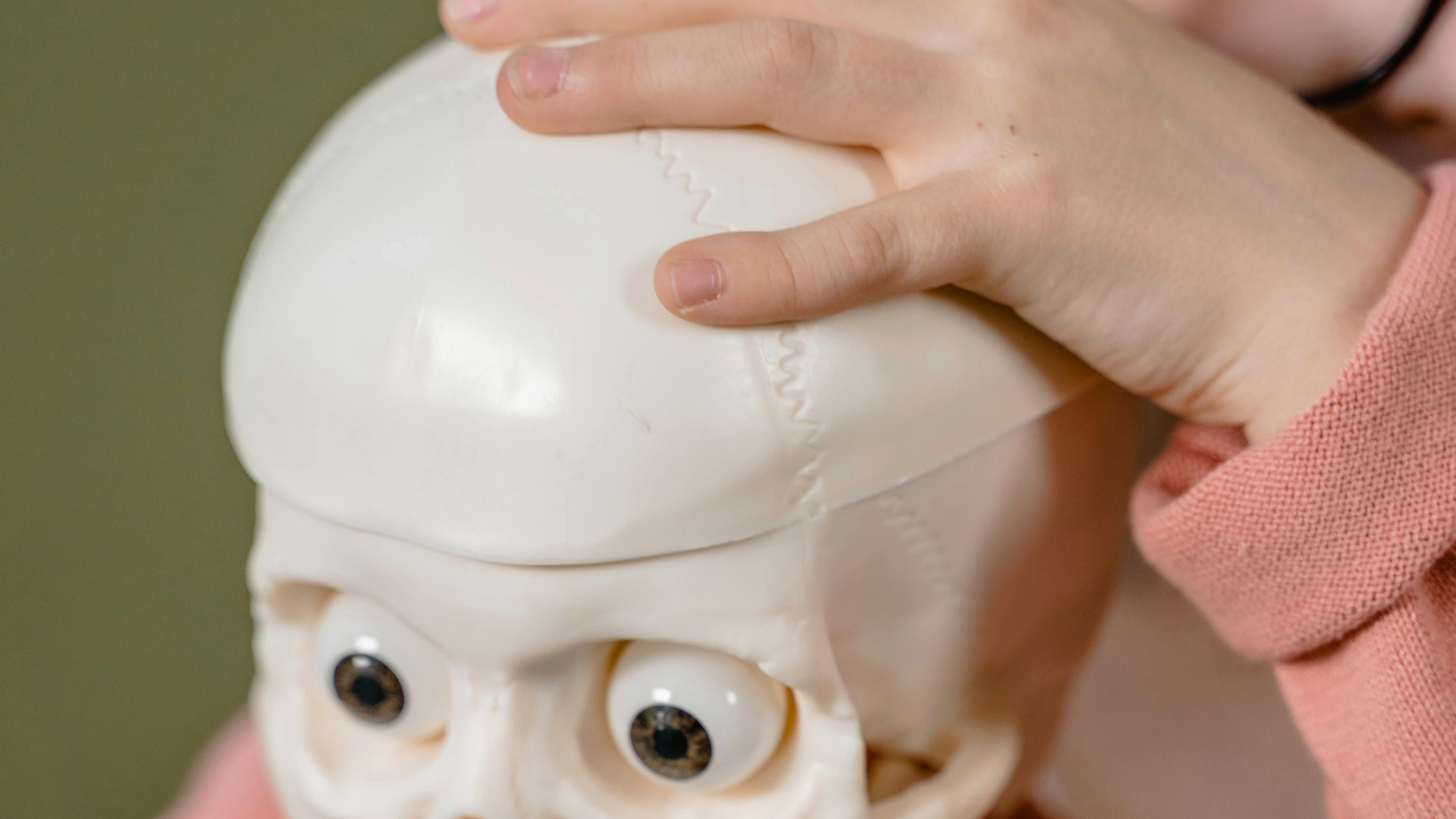 10 Cool Skeleton Toys For Kids – The Lollipop Book Club